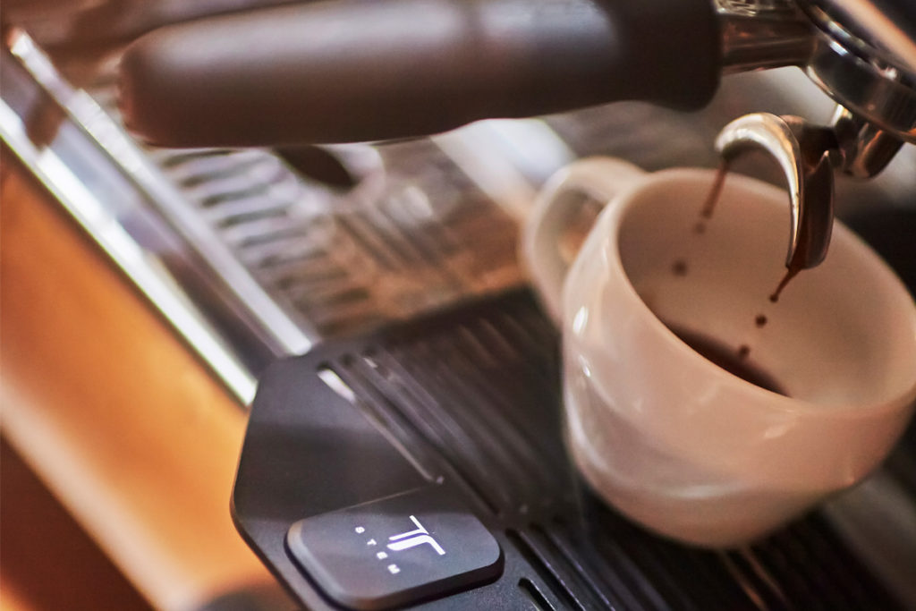 The Stem Platform - BeanScene