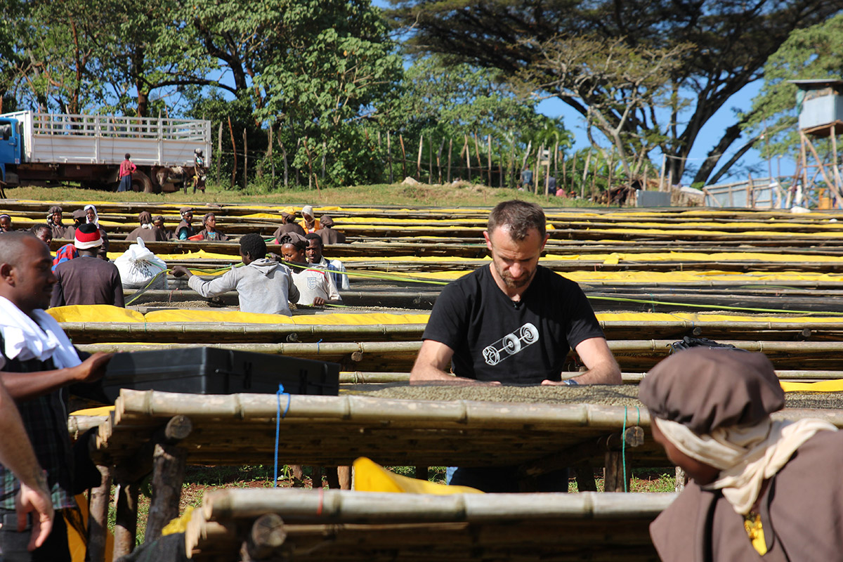 Coffee in crisis: Australia's response to low coffee prices - BeanScene