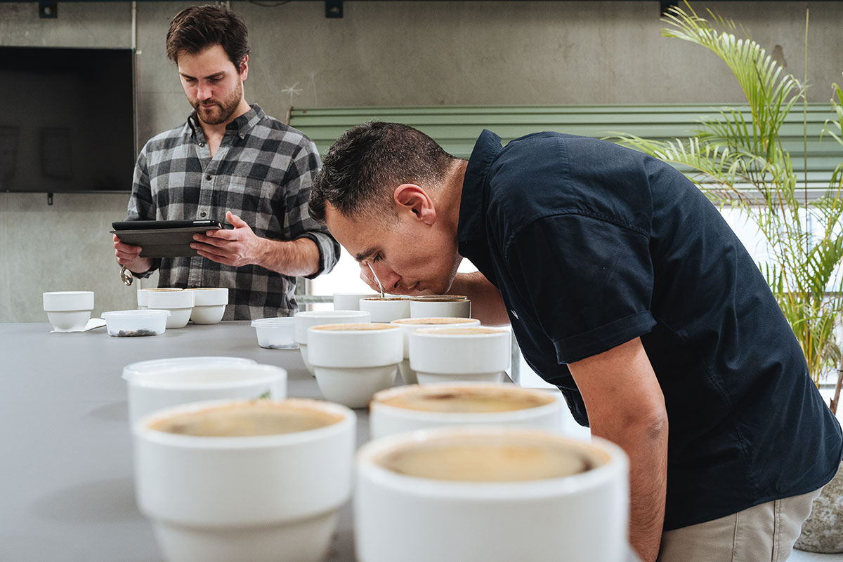 InterAmerican Coffee Australia opens its doors - BeanScene