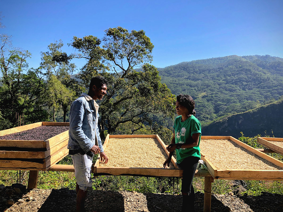 Timor-Leste: A rising star - BeanScene