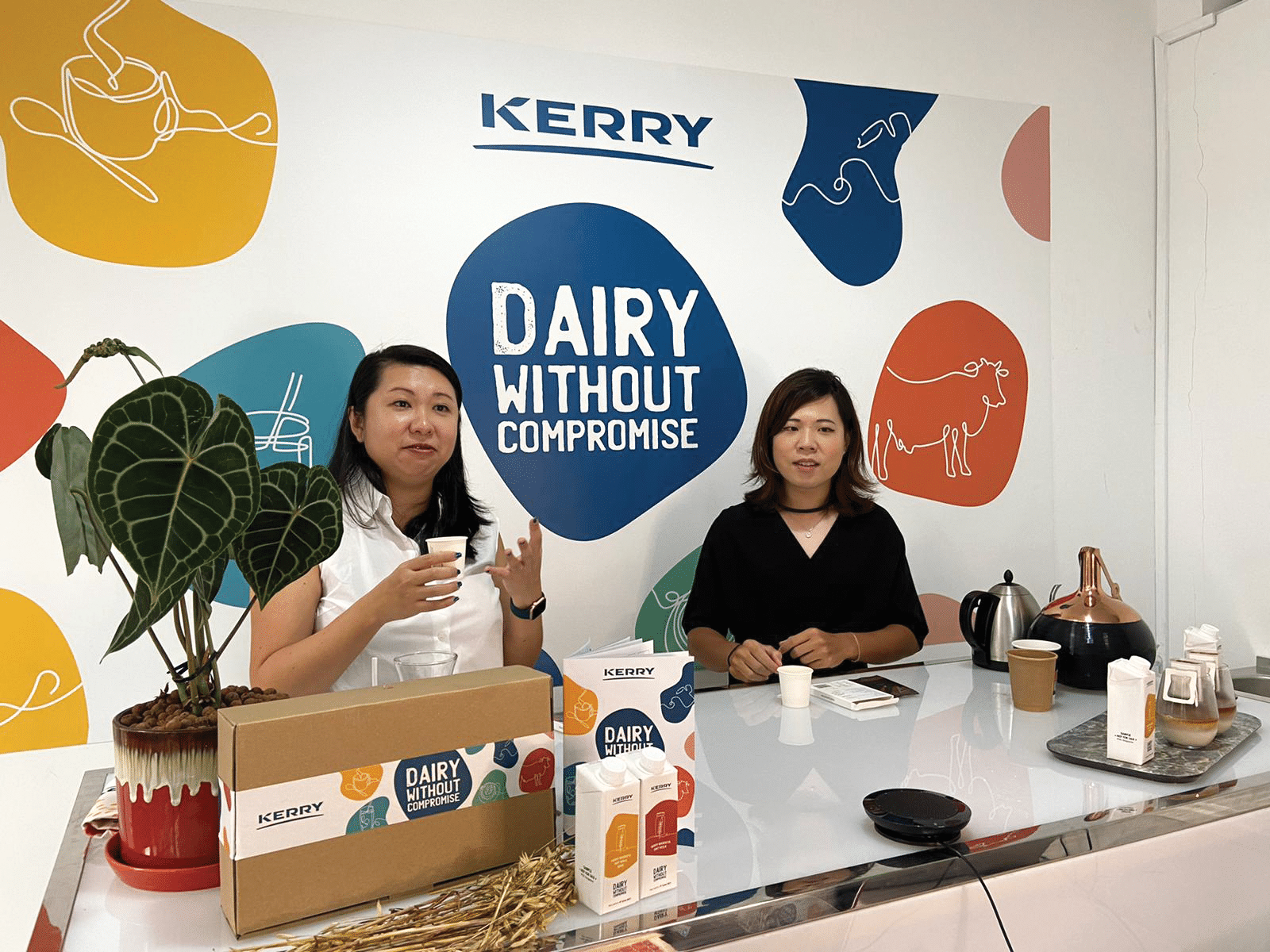 Kerry's functional oats are at the forefront of plant-based milk ...