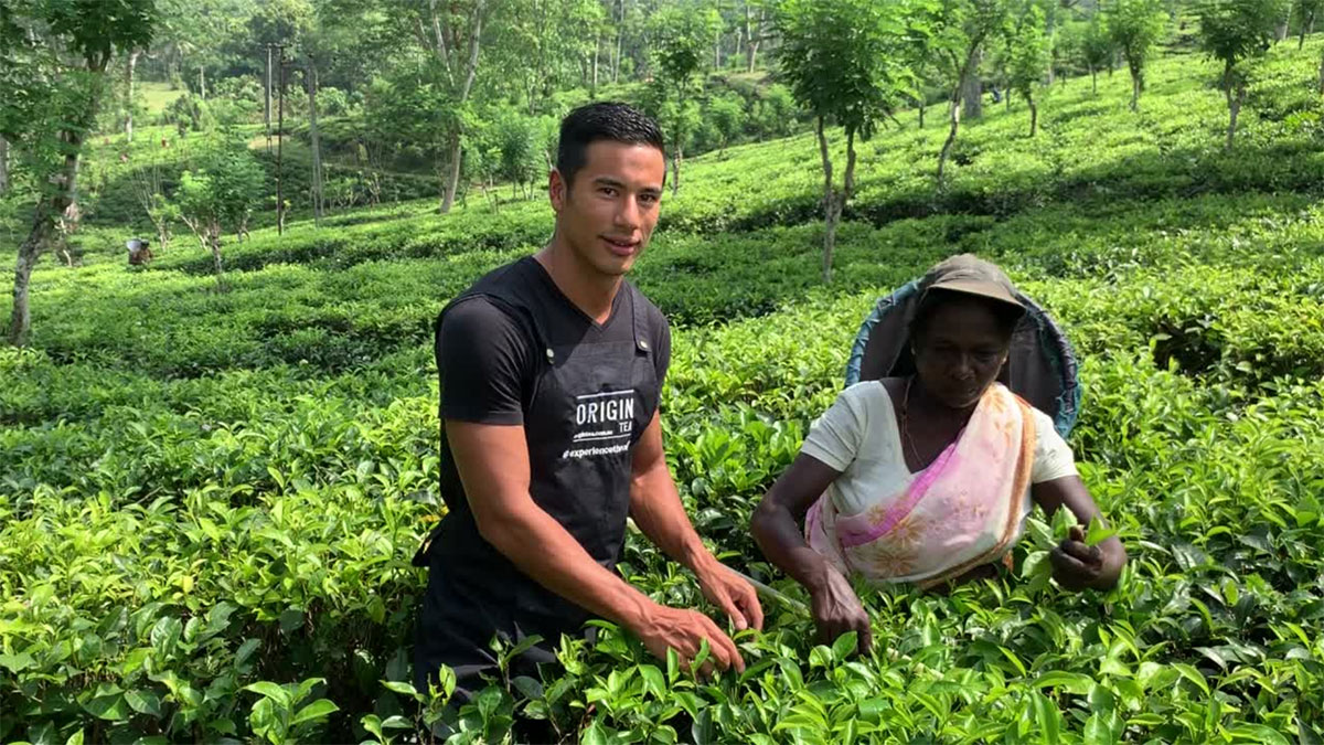 Origin Tea on leading innovation in a traditional tea market - BeanScene