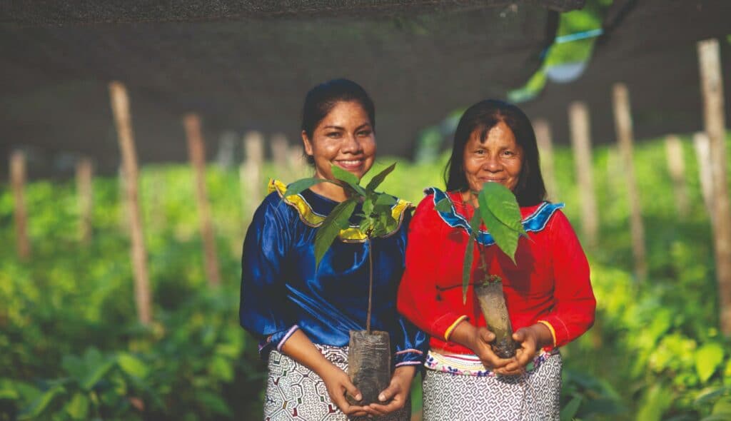 FTA Coffee becomes first carbon neutral green bean company - BeanScene