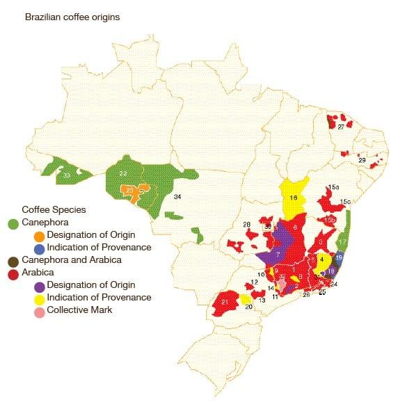 BSCA discusses how Brazil achieves record volumes with record quality ...