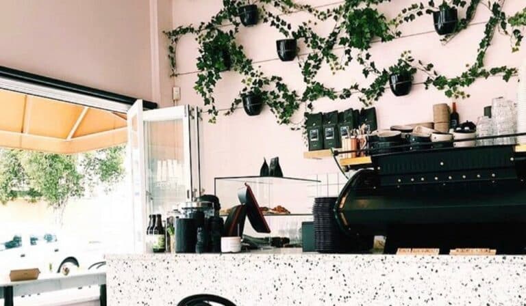 The Grumpy Barista - BeanScene