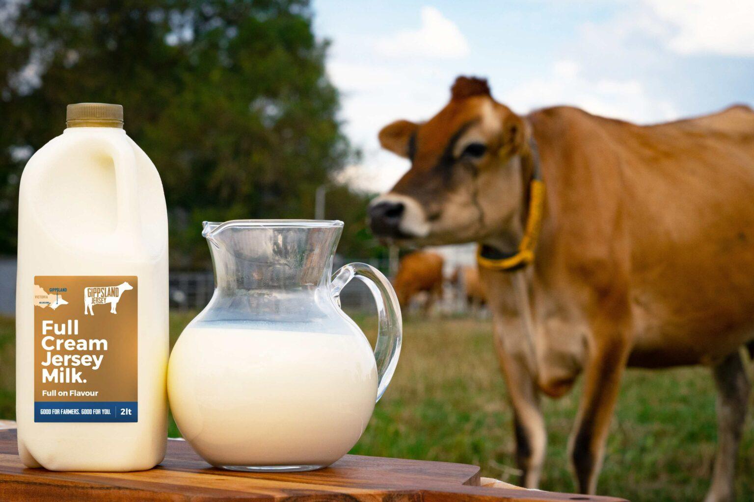 Gippsland Jersey - BeanScene