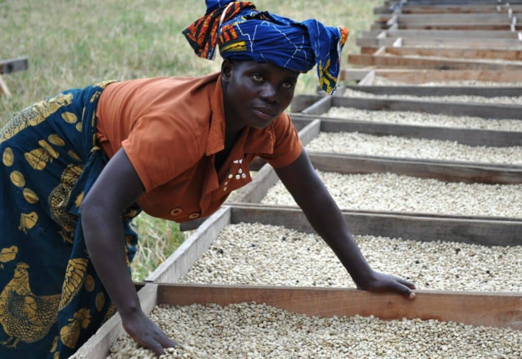 La Marzocco and Hemro Group launch Hands for Songwa Foundation - BeanScene
