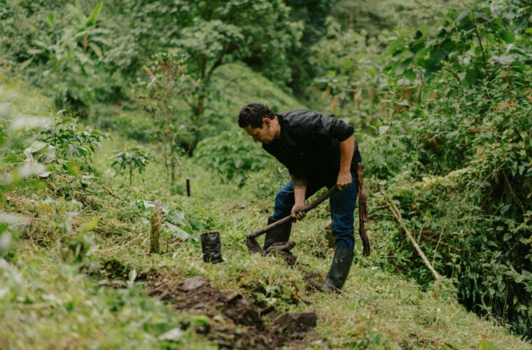 Vale Jasper Coffee Co-Founder Wells Trenfield - BeanScene