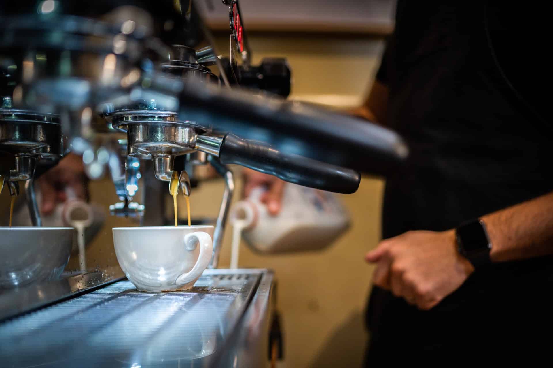 Business Council report reveals best and worst states to open a café ...