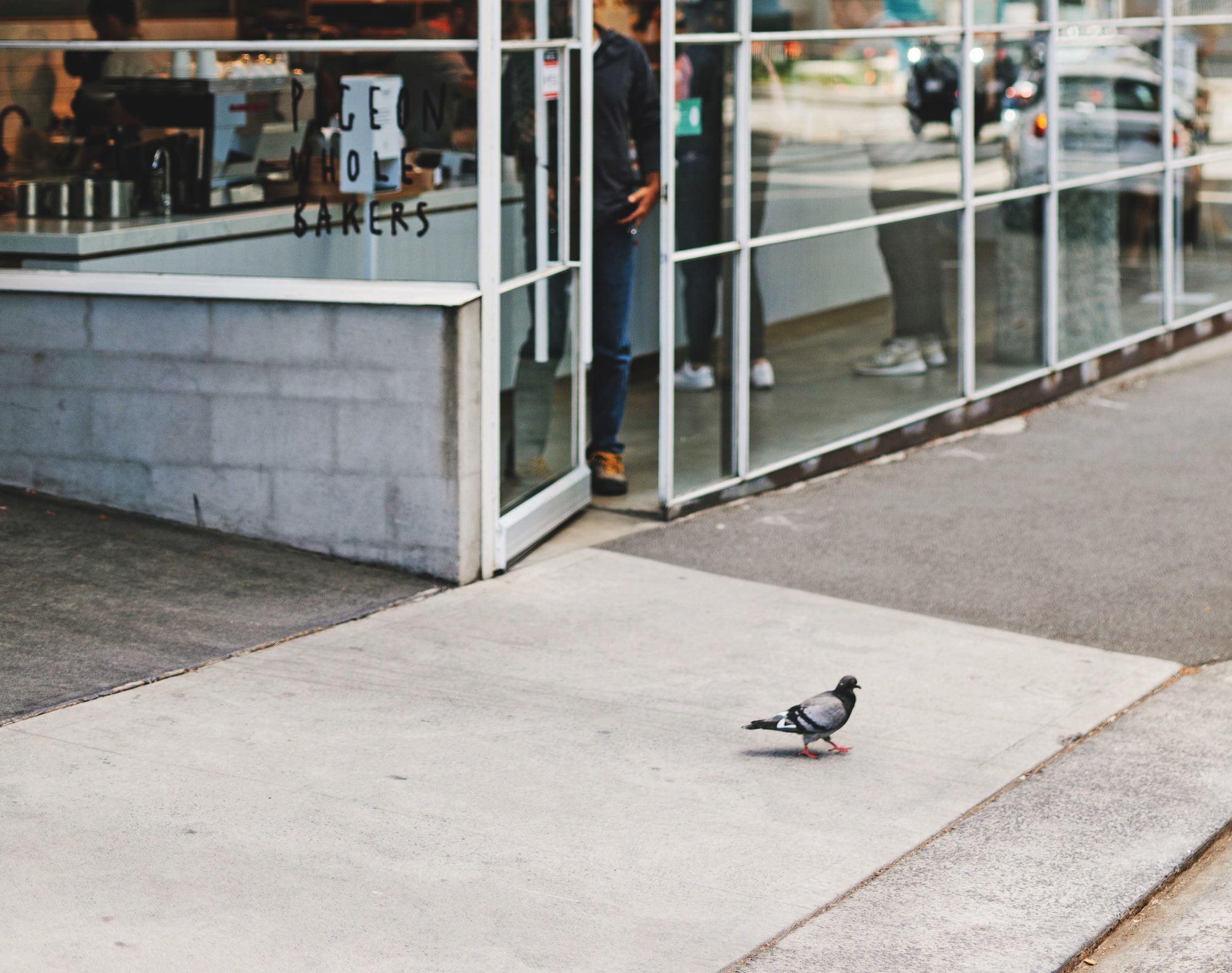 Pigeon Whole Bakers - BeanScene