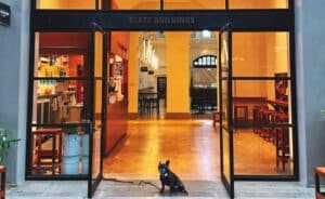 Telegram Coffee - BeanScene